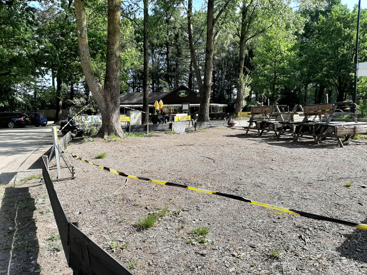 Nauwelijks dauwtrappers in bossen rond Apeldoorn te vinden | Foto ...