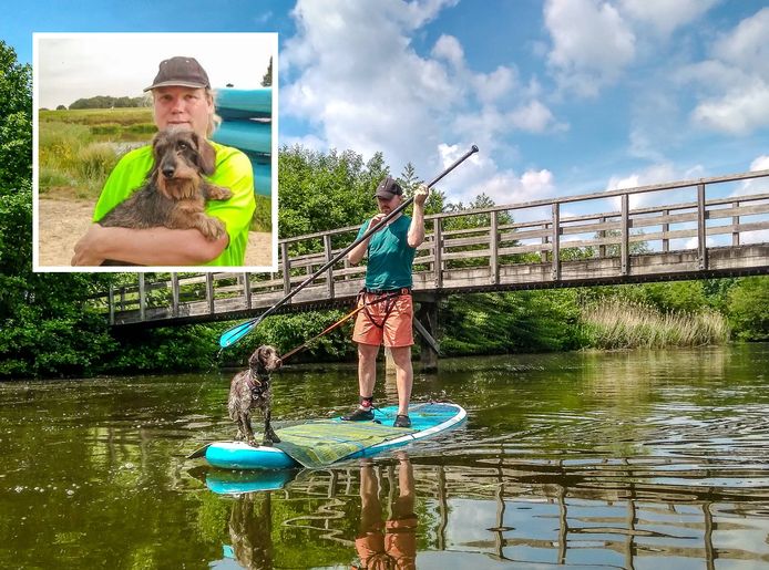 Suppen met je hond in de Achterhoek: dit is waarom het wel (en niet ...