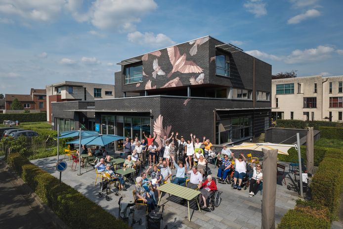 Wondelgem krijgt een streetart-route, ook voor kinderen: “Ontdek 20 ...