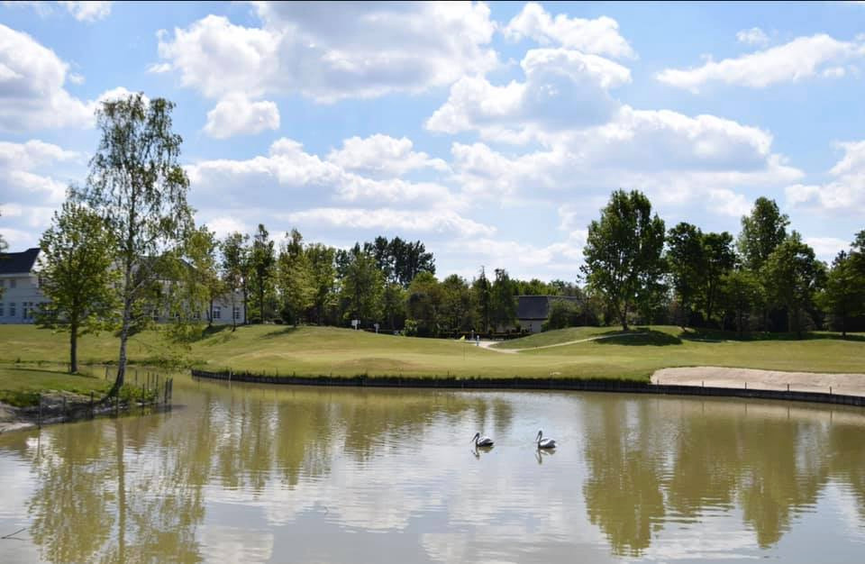 Een stukje Aalter in Zeeland: maak kennis met de mondaine Golfclub ...