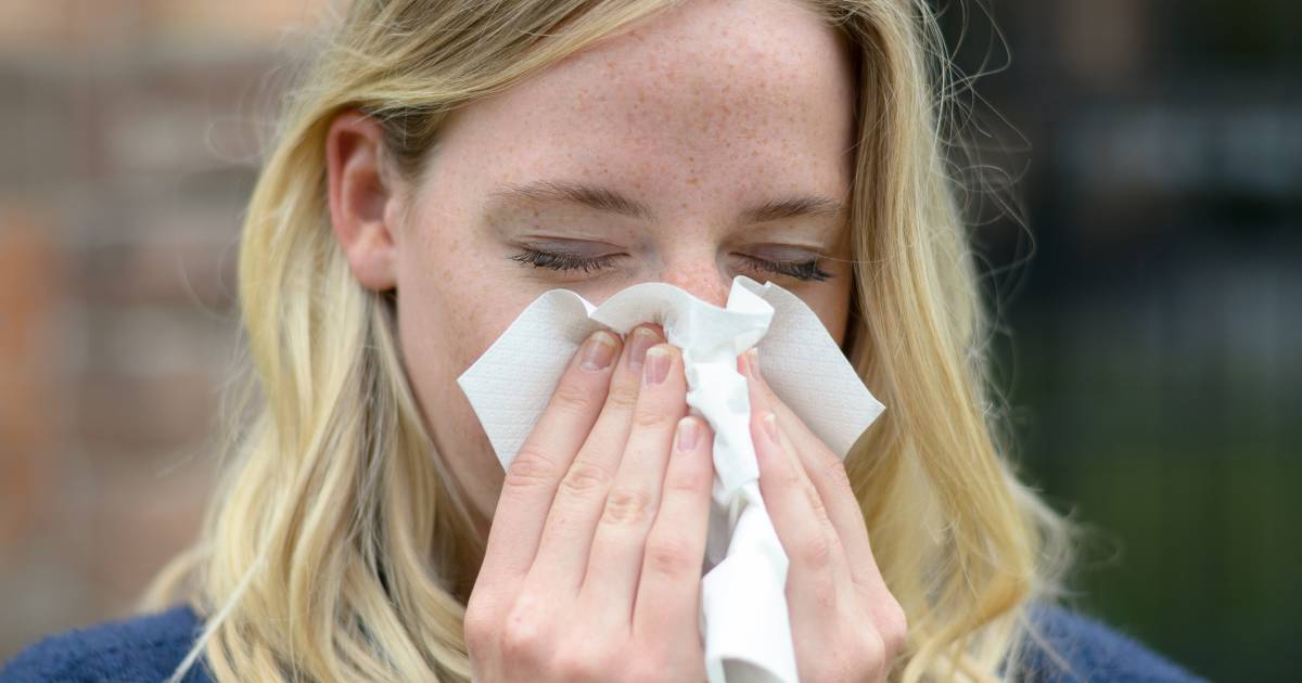 Er hangen al pollen in de lucht: hooikoortsseizoen is begonnen ...