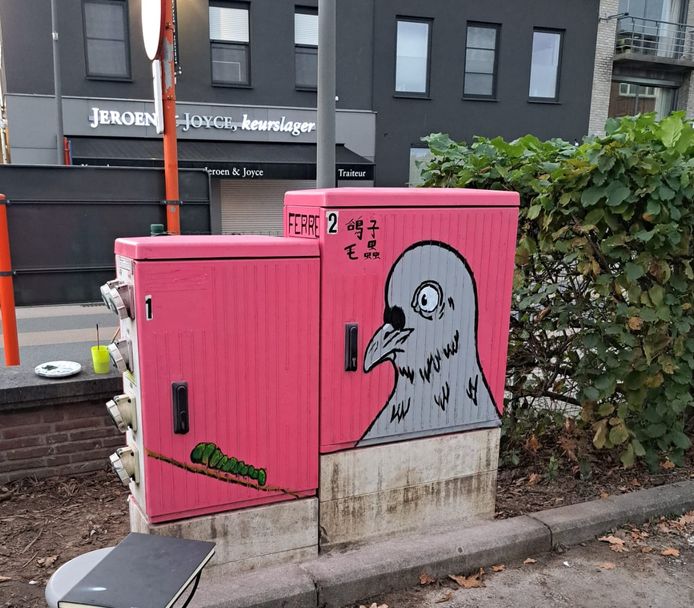 Elektriciteitskastjes krijgen een kleurrijke make-over | Avelgem | hln.be