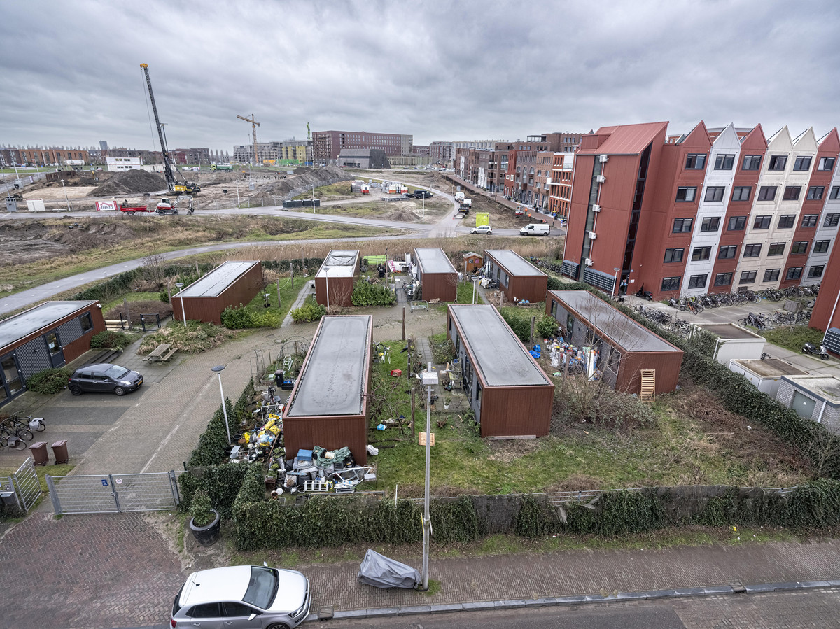 Laura (71) woont al zes jaar in een ‘skaeve huse’: ‘Ik kan hier mezelf ...