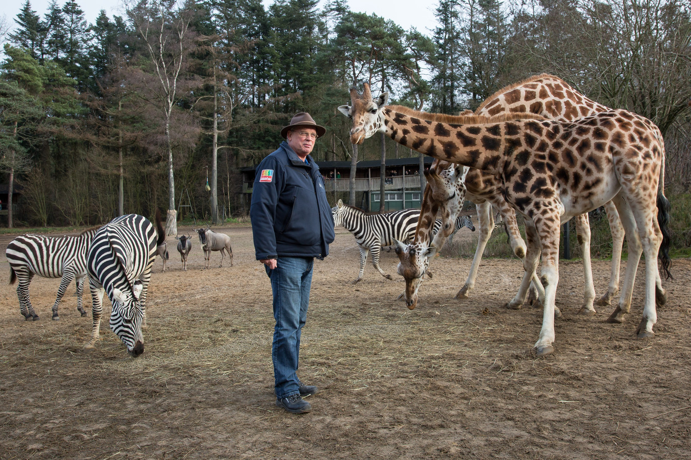 Ton (64) werkt al vijftig jaar tussen de wilde dieren | Foto | AD.nl