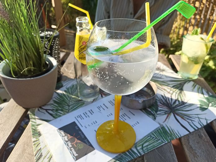 Workshop: je eigen gin maken | Kluisbergen | hln.be