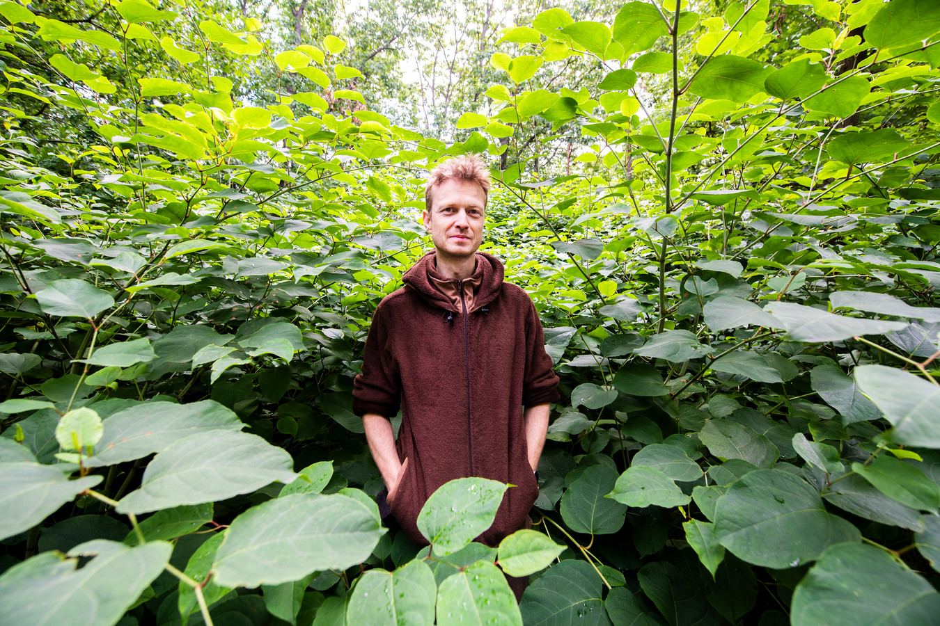 ‘Kreng in de tuin’: Paul uit Beekbergen moet (helaas) van nachtmerrie ...