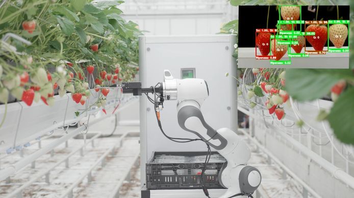 Japanse bedrijven en glastuinbouwsector gaan samenwerken voor nieuwe ...