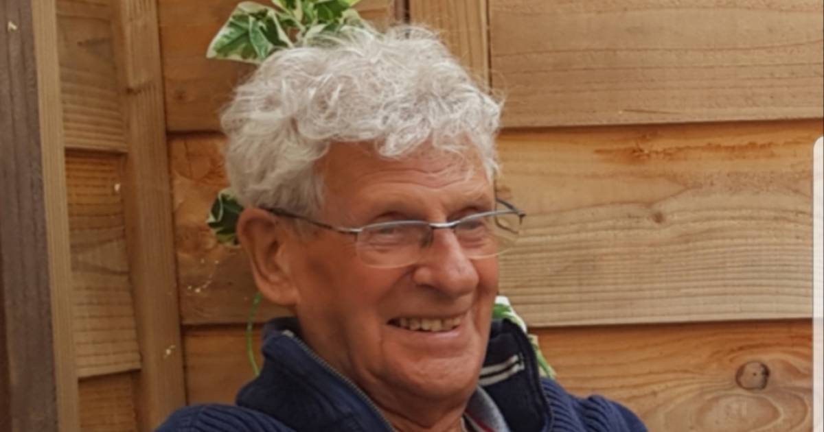 ‘Weg met alle verkeerslichten’: rijinstructeur Wim had opvallende ...