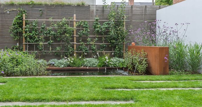 Voorzie twee meter afstand tussen de stam en de scheidingslijn met je ...