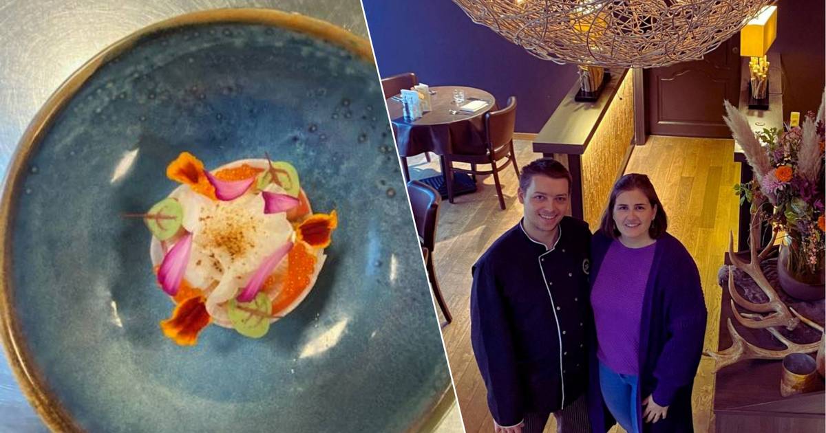 Romantisch tafelen in het Meetjesland en Deinze: deze 6 restaurants ...