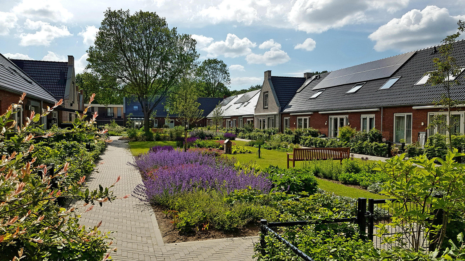 Honderden senioren in de rij voor een ‘knarrenhof’: jaren wachten op ...