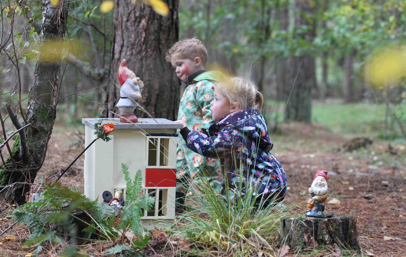 Op zoek naar kabouter Mondriaan in het Kabouterbos in Wintelre | Foto ...