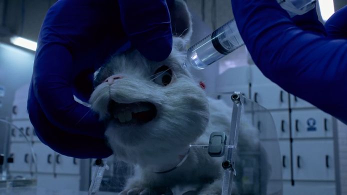 Testkonijn Ralph gaat viraal met zijn boodschap over dierenleed ...