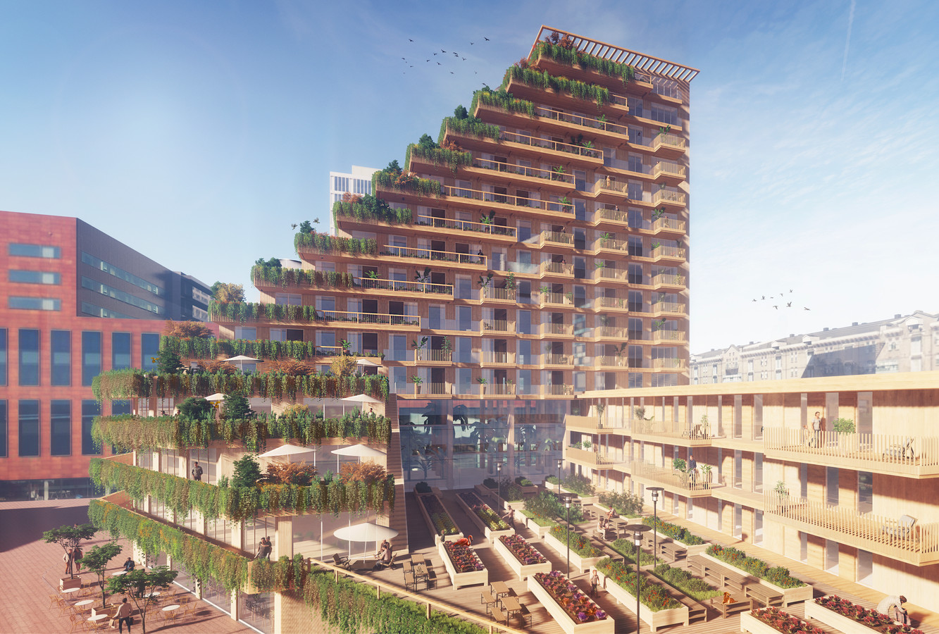 Gevecht om hout: hoe de Olympische Spelen in Frankrijk de bouw van een ...