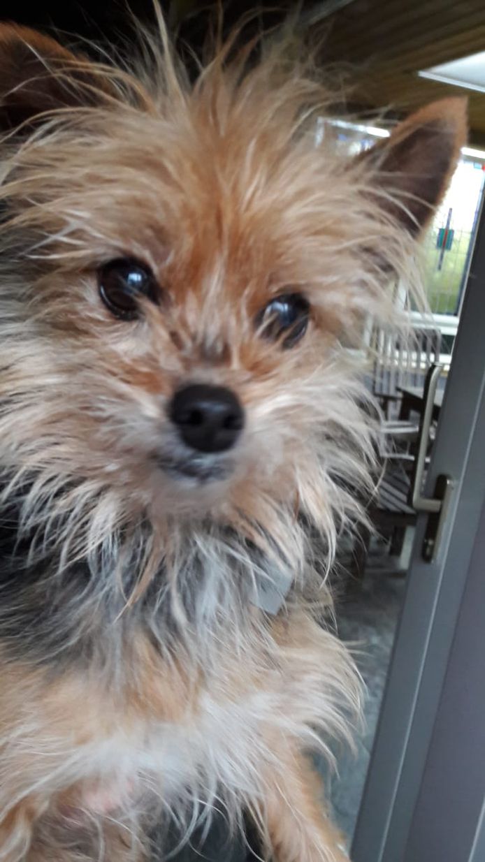 Dit zijn onze Frekkels uit de regio | Home | gelderlander.nl