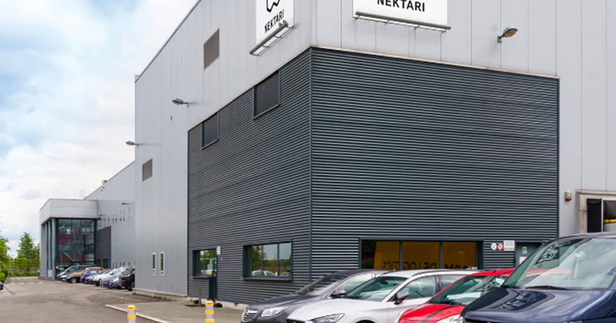 Nektari wint Voka Lokaal-award voor Klein-Brabant/Vaartland | Puurs ...