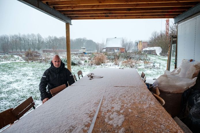 Net 40.000 tulpen geplant, maar eigenaar maakt plots einde aan ...