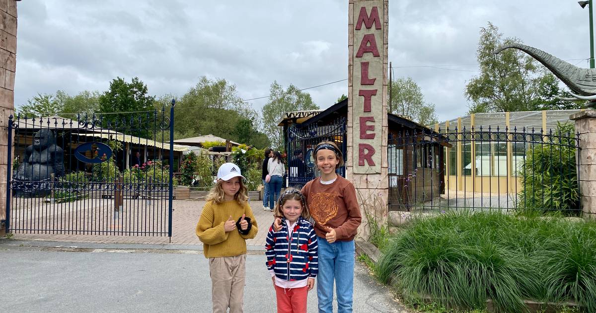 VAKANTIETIPS VOOR DE THUISBLIJVERS. Familiepark Harry Malter, waar de ...