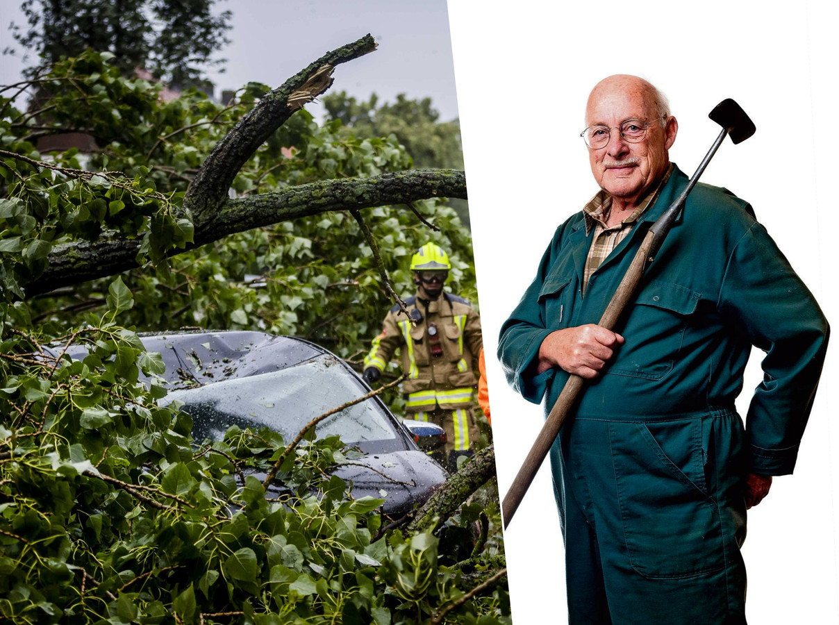 Stook afgebroken takken niet op, maar gebruik ze in de tuin | Foto | AD.nl