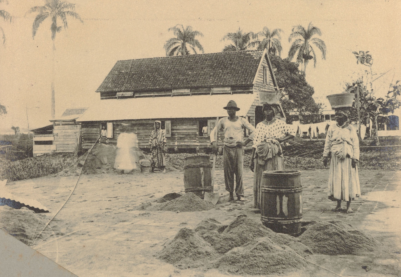 Gemist? Groen licht voor nieuwe natuurbegraafplaats & onderzoek naar ...
