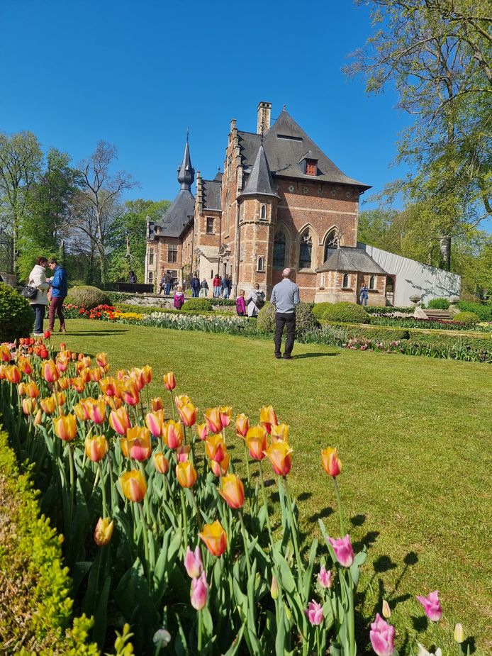 IN BEELD. Eén miljoen bloemen in bloei dankzij prachtig voorjaarsweer ...