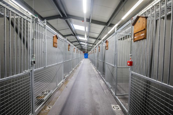 Modernste dierenasiel van het land is klaar, met dank aan erfenis van 1 ...