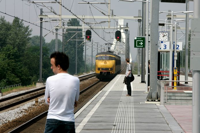 ProRail wil onkruid duurzaam bestrijden en richt daarom proefstation in ...