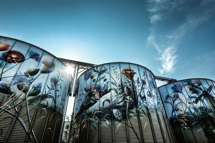 Met tiende schilderij is Silo Art Tour door Achterhoek gereed: ‘We ...