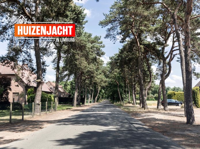 HUIZENJACHT. Hamont-Achel, de duurste gemeente van Limburg: “Hier kun ...