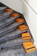 Robotpoes, pratende plant en traphulp: snufjes met én zonder stekker ...