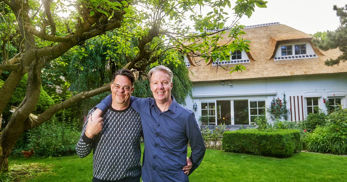 Ruys, smeuïge roddels en veel rood in huize De Haen: ‘Ik kan niet zo ...