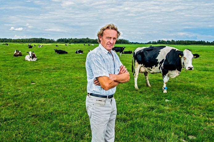 Melkveehouder: vergunning om koe te laten grazen is wereld op zijn kop ...