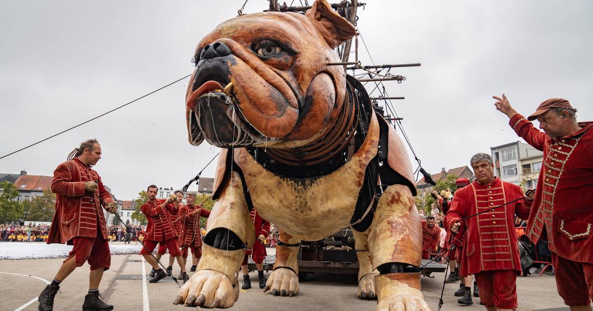 Reuzen ontwaken om 10u in het Zuidpark waar om 16u ook de grote finale ...
