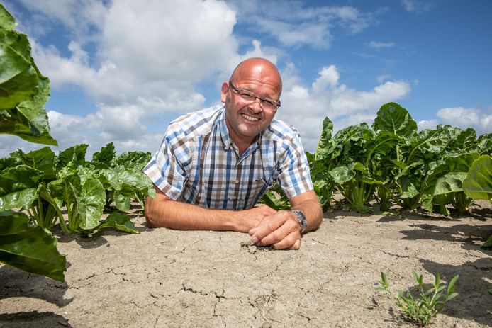 De zomer is te donker voor landbouwgewassen: ‘We hebben zonnig en droog ...