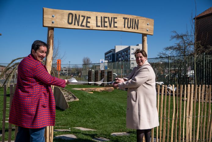 OLVI Boom opent groenzone op campus Brandstraat: “Met goedkeuring van ...