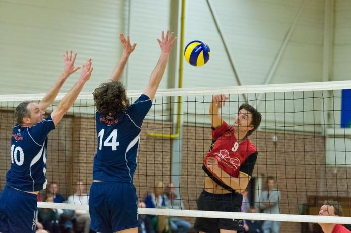 Fitte veertigers trekken de kar | Overig | gelderlander.nl