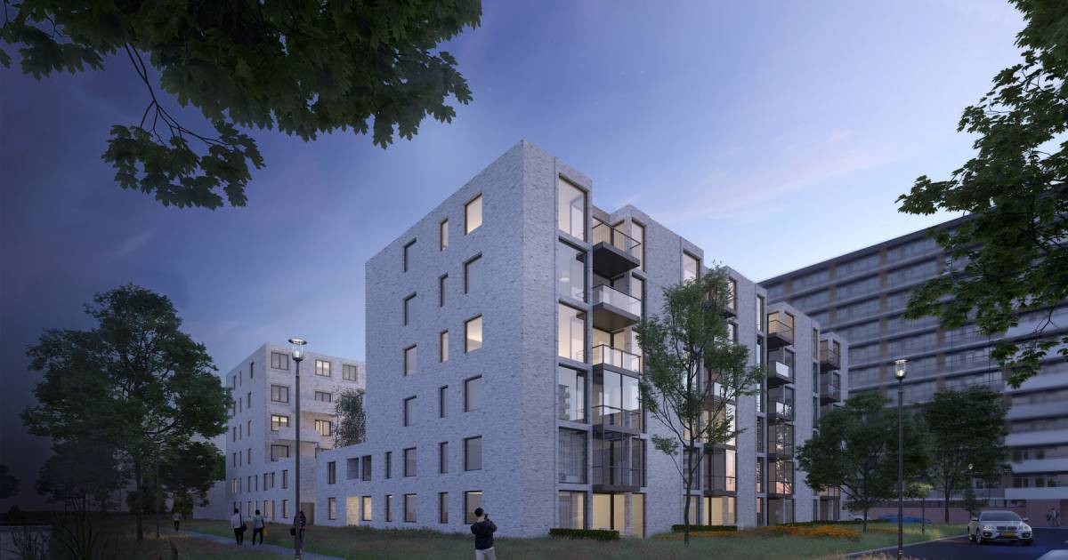 Dit nieuwbouwproject in Rotterdam-Oost wordt nog dit jaar opgeleverd ...