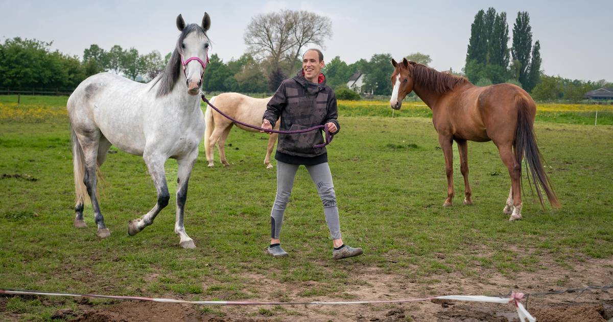 Na zware tijd heeft Sander (36) met paard Warhola een nieuw maatje in ...