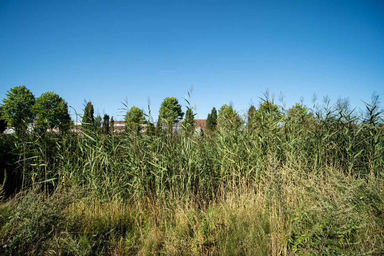 Het stond zo mooi in folder, ‘uitzicht op het water’, maar bewoners ...