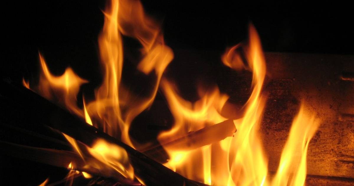 Stookalert: RIVM doet twee dagen op rij oproep geen hout te stoken in ...