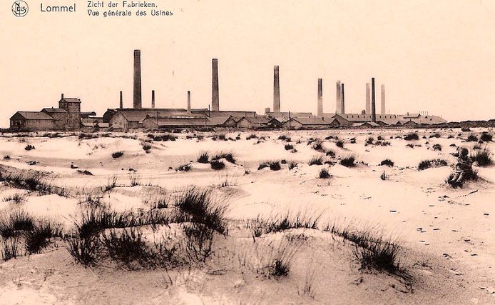 Alles ging langzaam dood rond de zinkfabriek: zo ontstond de Lommelse Sahara | Bergeijk | ed.nl