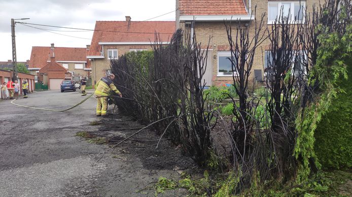 Haag vat vuur na onkruidverdelging met brander | Kortrijk | hln.be