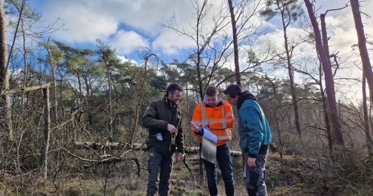Breeveen in Leersum krijgt ‘stormpad’: ‘Effect valwind goed voor ...