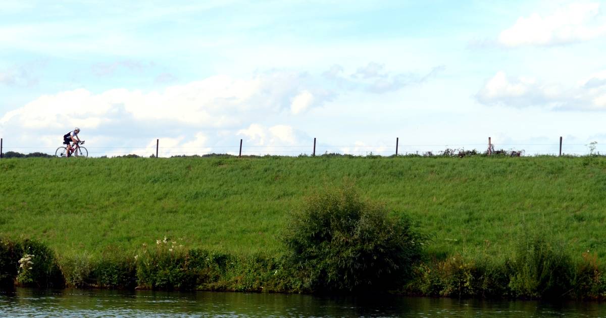 Wielrenner Arjan Gort brak na een onverwachte duw van een motorrijder ...