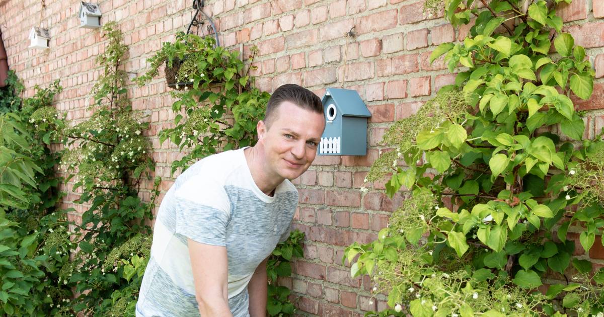 'Get Ready!'-zanger Jimmy Samijn heeft groene vingers: "In mijn ...