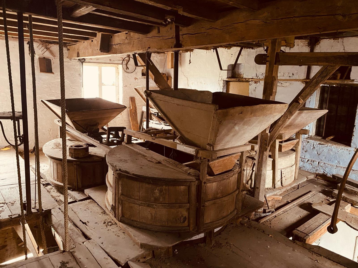 Beheersplan geeft verkommerde Molen van Servaes opnieuw toekomst: “Op ... Beheersplan geeft verkommerde Molen van Servaes opnieuw toekomst: “Op ...
