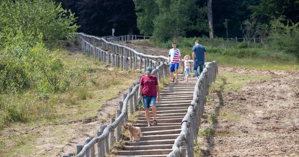 Wandelen in de natuur van Rhenen? Laat de auto thuis; je kan toch niet ...