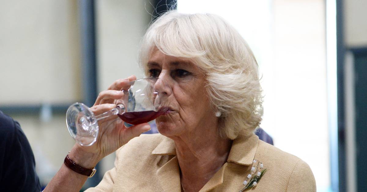 Camilla in alle stilte behandeld in India: heeft de koningin-gemalin ...