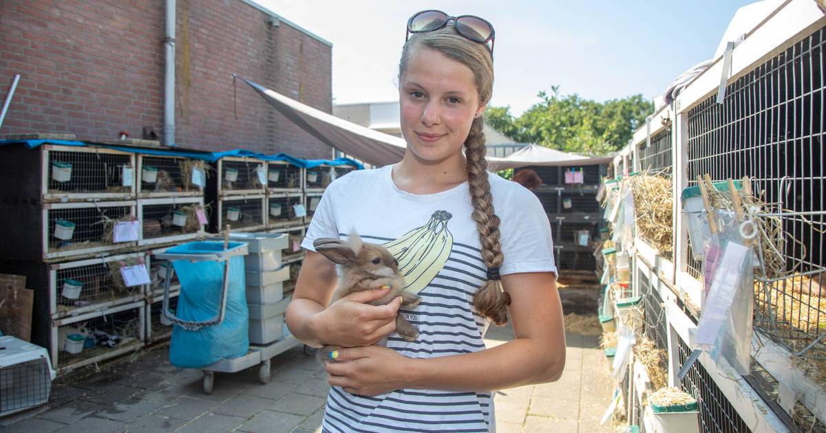 Zicht op nieuw onderkomen voor Zwolse dierenopvang Flappus | Zwolle ...