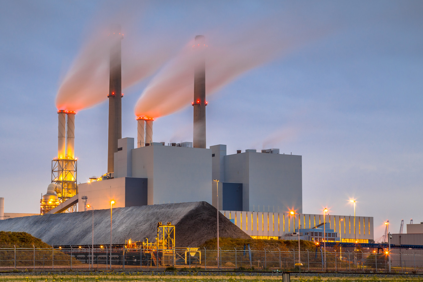 Kolen maken comeback: ‘Zijn we helemaal gek geworden?’ | Foto | AD.nl